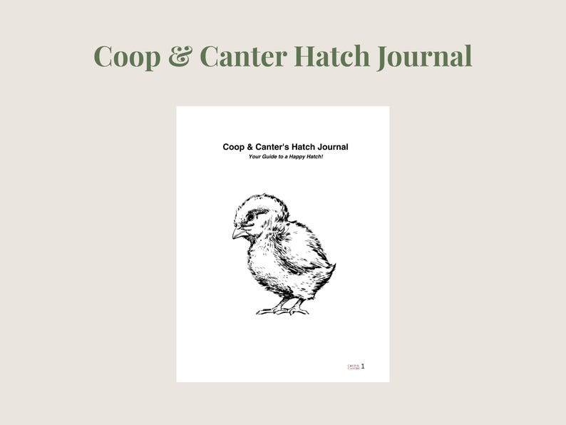 Coop & Canter Hatch Journal / Chicken Egg Incubation Printable / Hatch ...