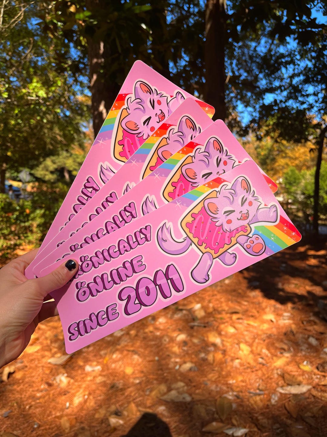 Nyan Kitty Bumper Sticker! - Etsy