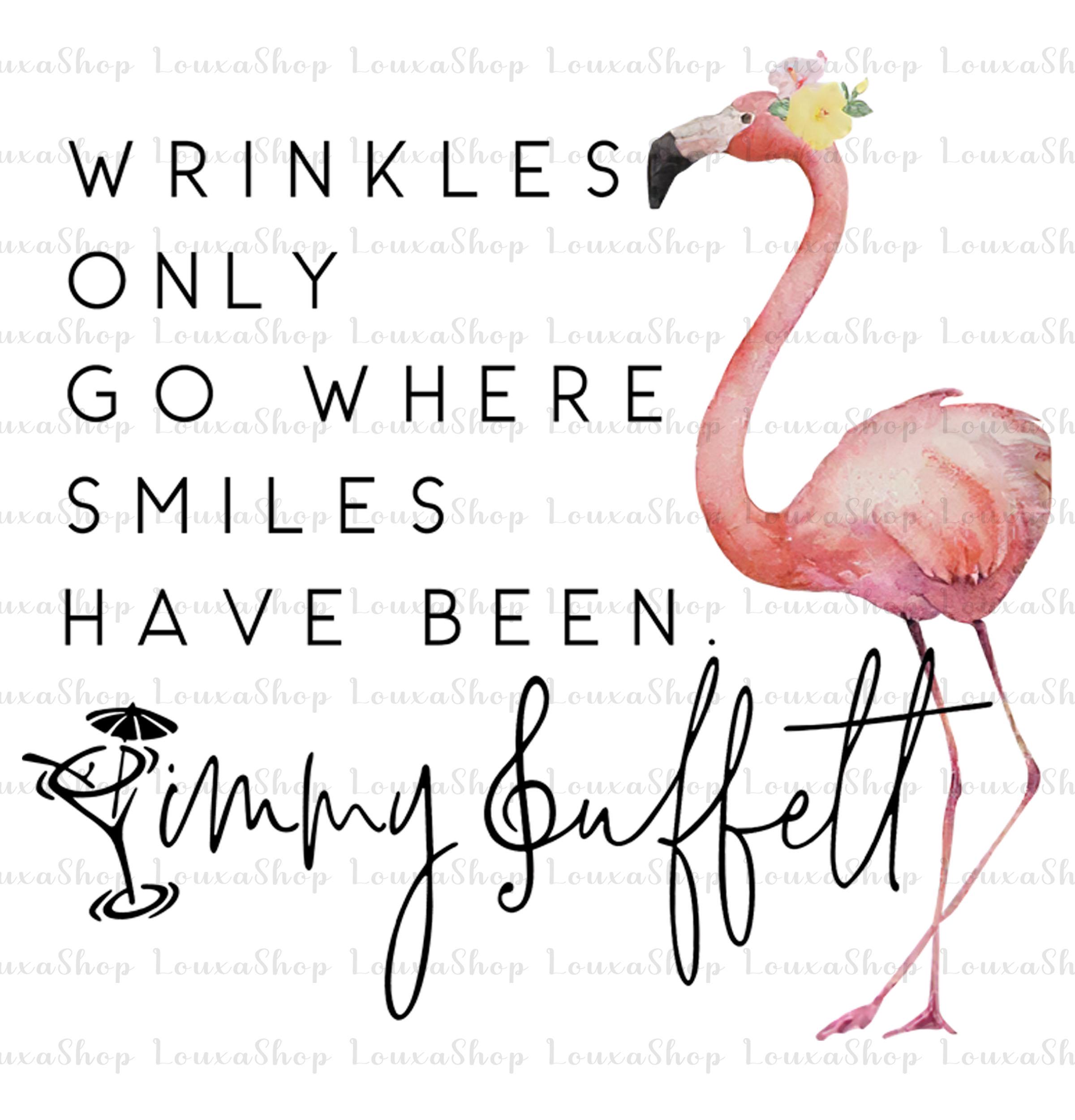Jimmy Buffett Flamingo PNG, Jimmy Buffett Fan Gift, Jimmy Buffett PNG ...