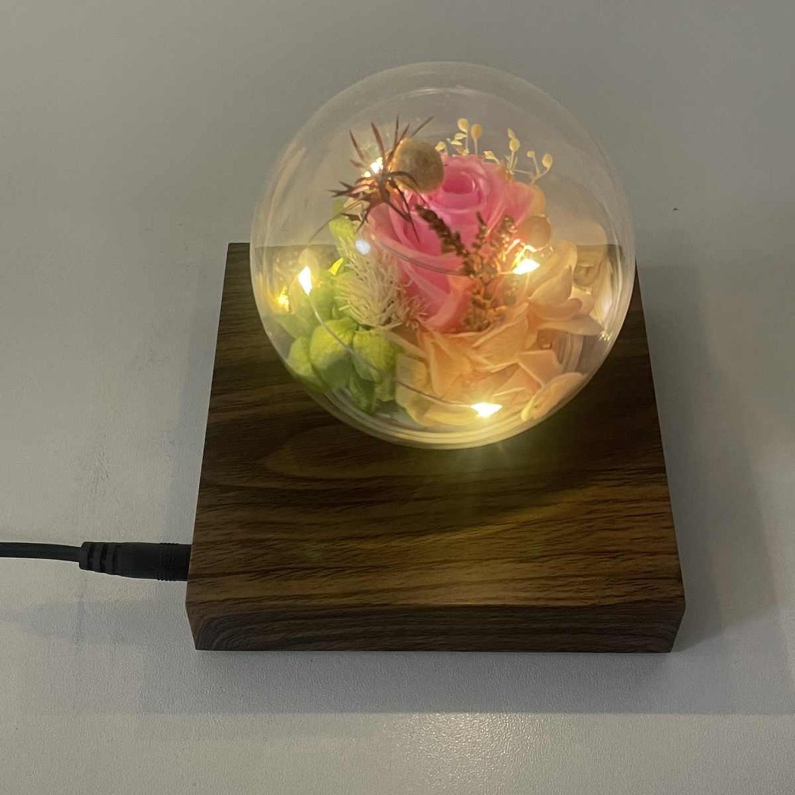 Magnetic Levitating Plant Light - Floating LED Terrarium Lamp, Unique ...