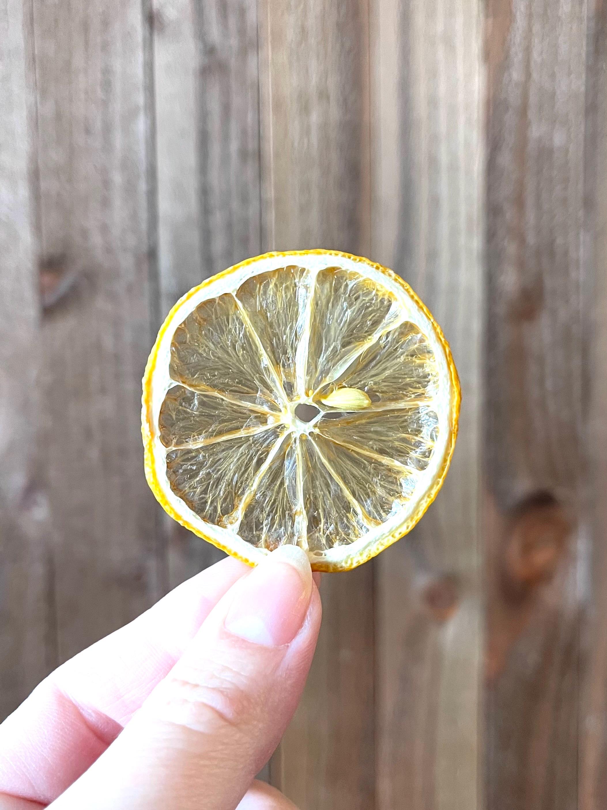 Mocktail Kit Cocktail Liquor Infusion Kits for Hot Toddys Spicy ...