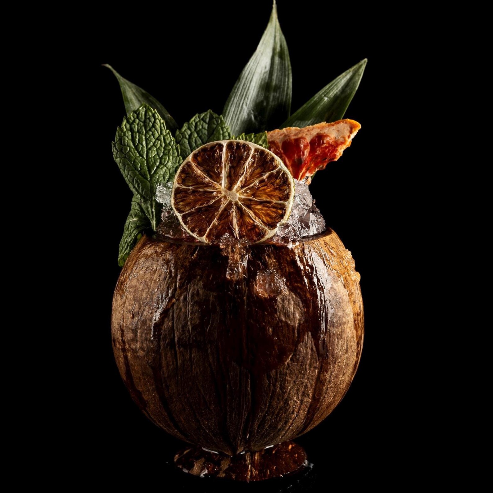 Dried Lime Wheels Dehydrated Citrus Garnish Craft Cocktail Mixology ...