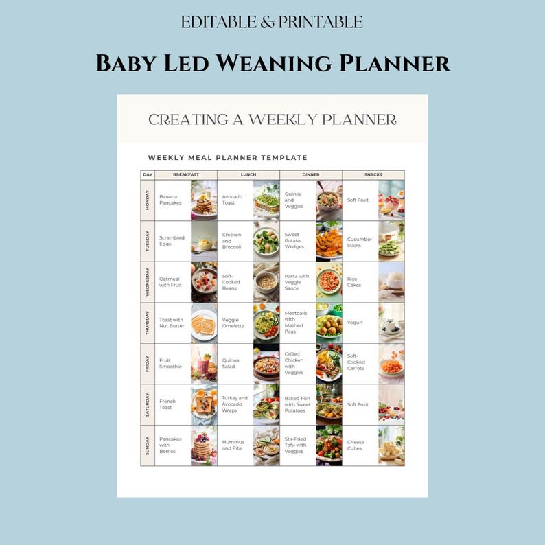 Baby Led Weaning Planner Canva Template, First Foods Tracker, Feeding ...