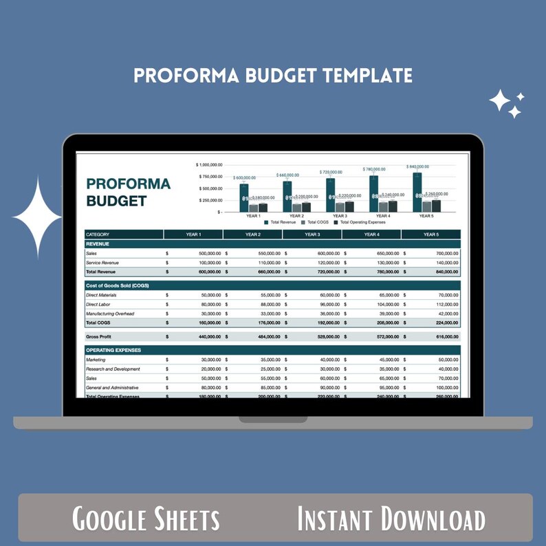 Proforma Budget Template, Digital Download, Editable Excel, Business ...