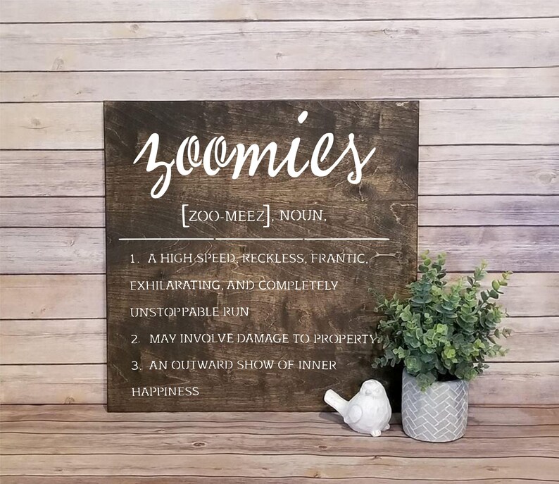Zoomies Painting Stencil, Home Decor Sign Template, Dog Decor, Pet Sign ...