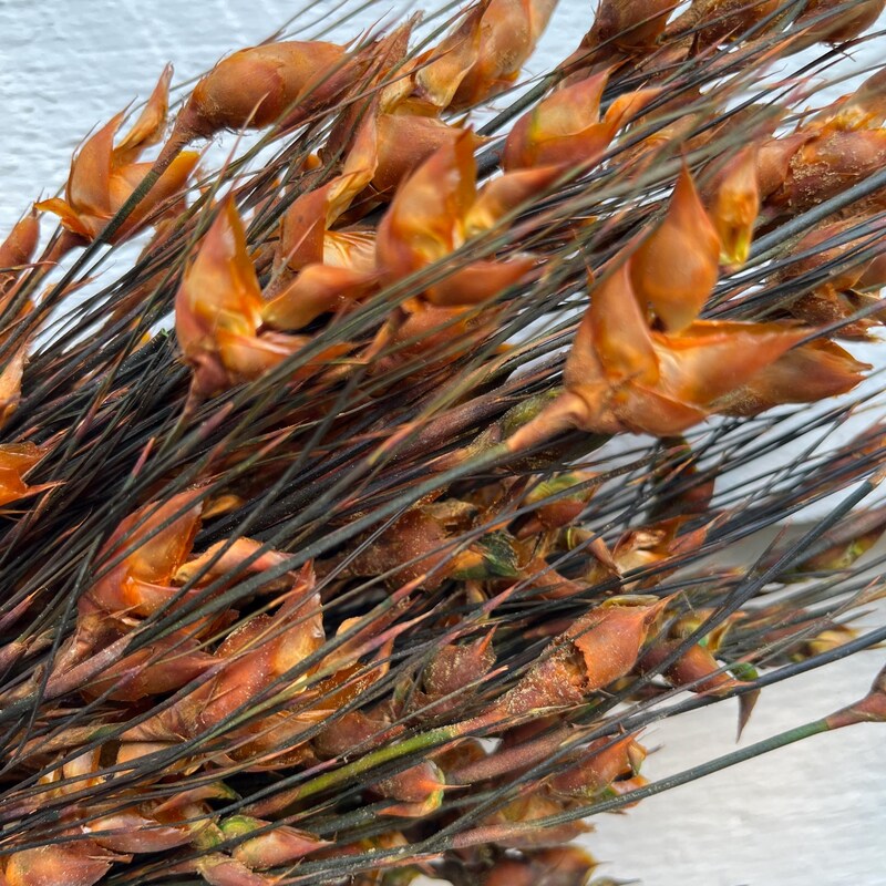 African Import Art - Etsy