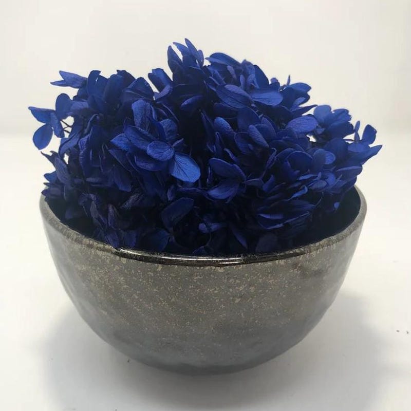 Preserved Hydrangea - Etsy