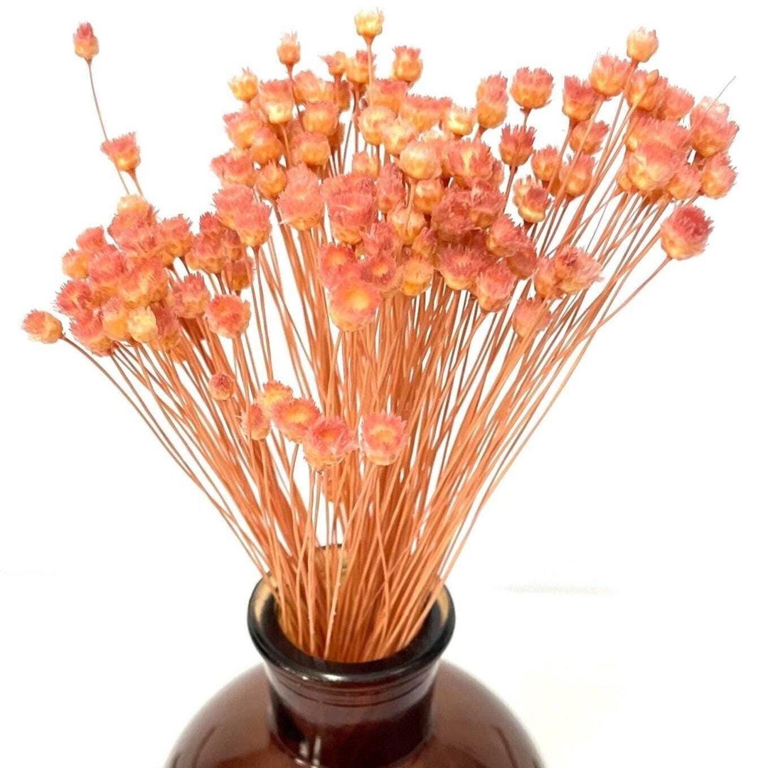 Dried Happy Flowers in Classic Pink: DIY Floral Arrangement - Etsy