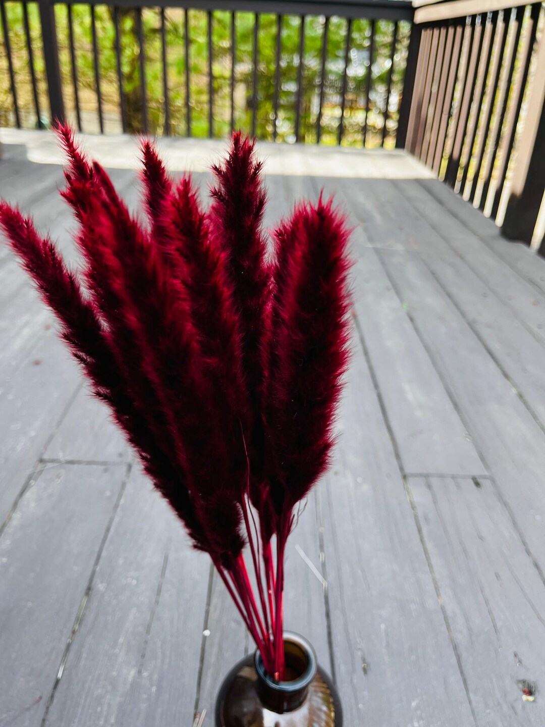Tail Reed in Burgundy Wine - DIY Home Decor Floral Arrangement Dried ...