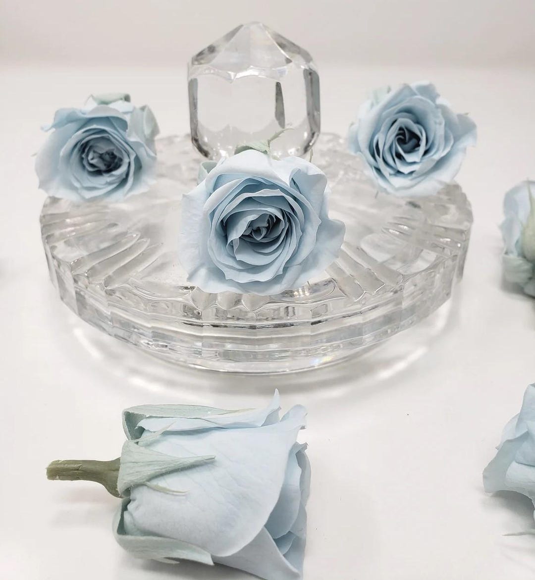 Mimi Rose, Preserved Rose in Baby Blue Color. Preserved Roses Wholesale ...