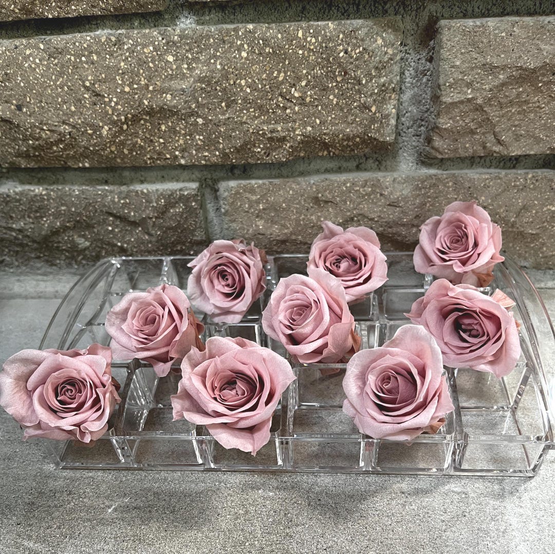 Japanese Rose Izumi in Misty Rose Color. Eternal Roses. Perfect for DIY ...