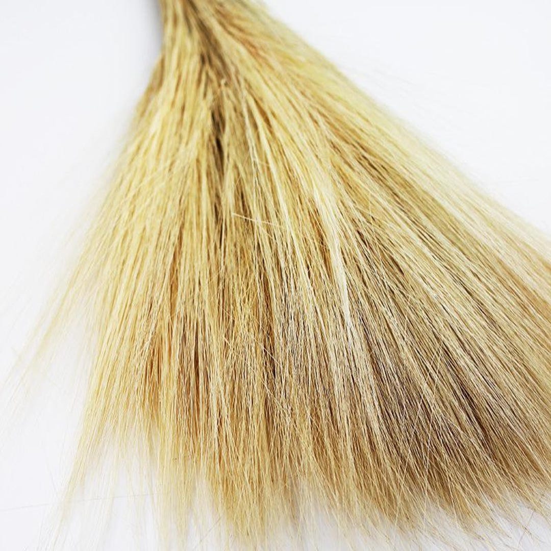 Cream Dried Barba De Bode: Brazilian Home Decor Floral Stems - Etsy