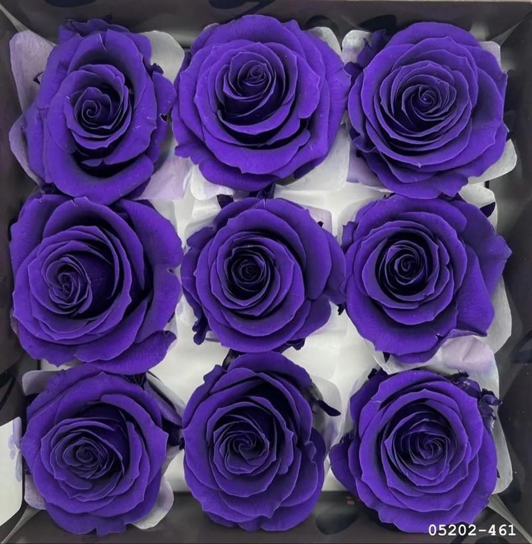 Grape Preserved Rose Heads: Japanese Kanon Fleurs, DIY Floral Supply - Etsy