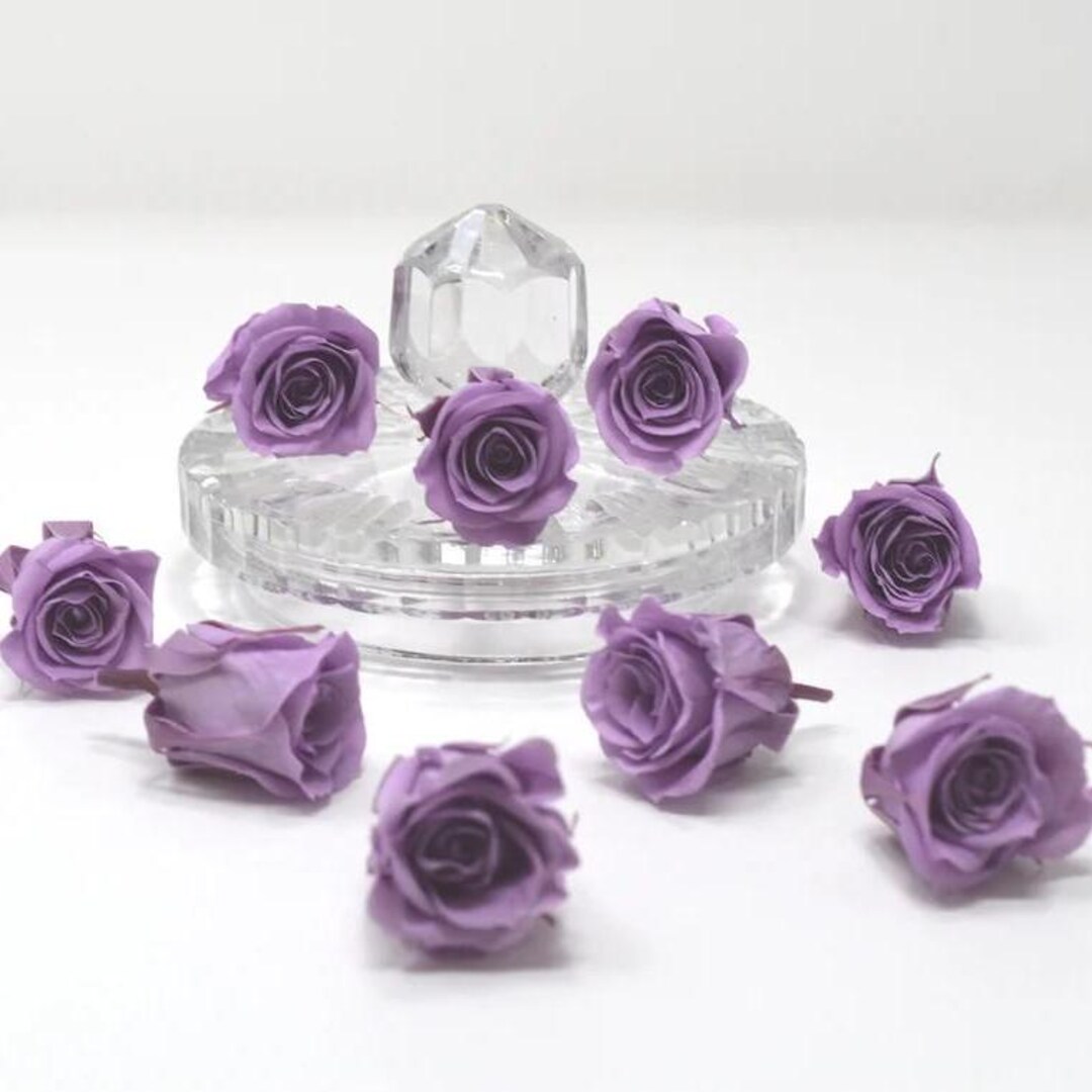 Preserved Mimi Rose Sweet Lilac Color. Box of 9 Roses. Preserved Roses ...