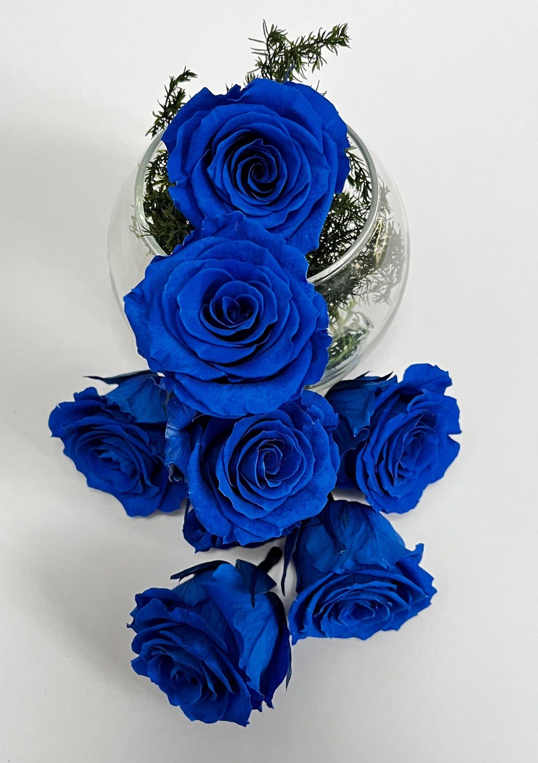 Indigo Blue Preserved Rose: Japanese Kanon Floral Arrangement - Etsy