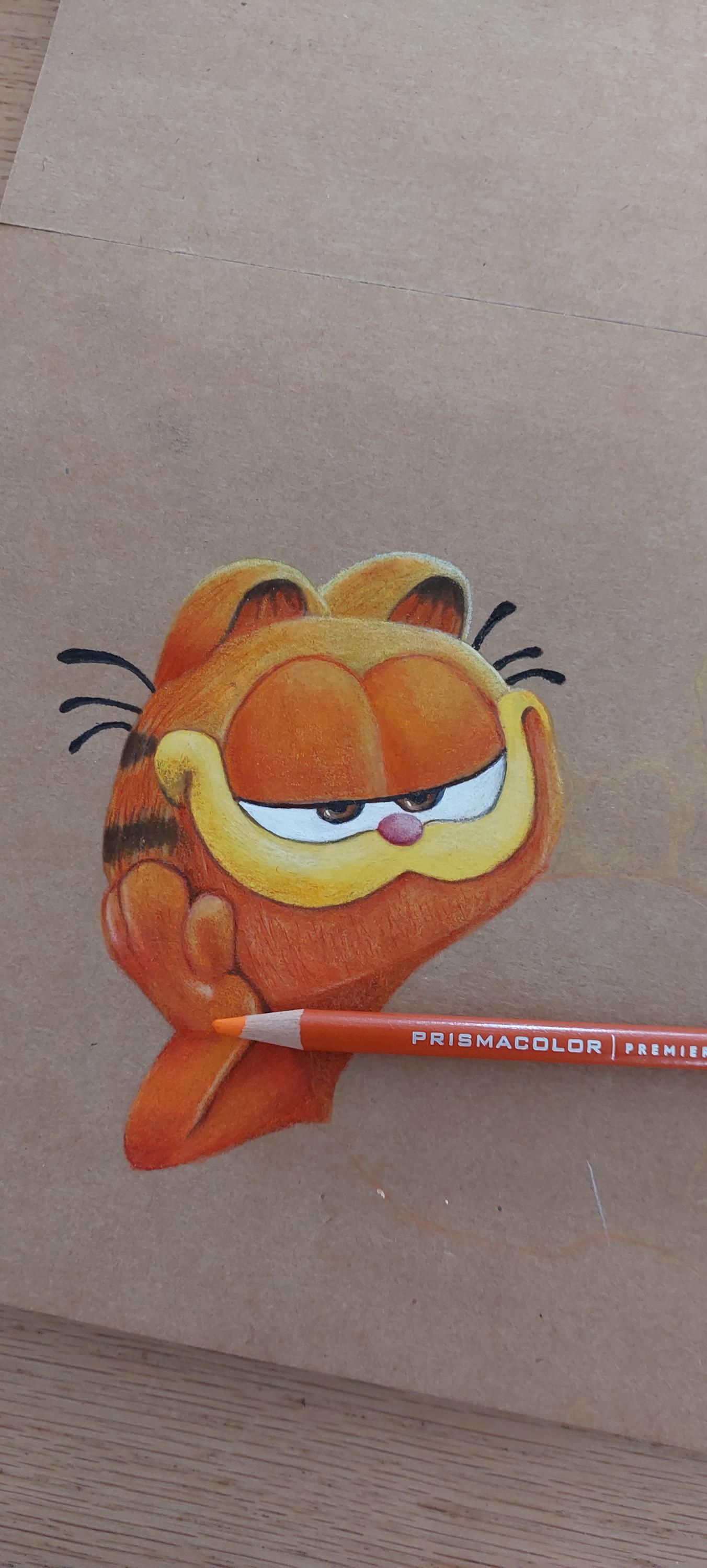 Garfield Drawing Realistic Cartoon Art - Etsy