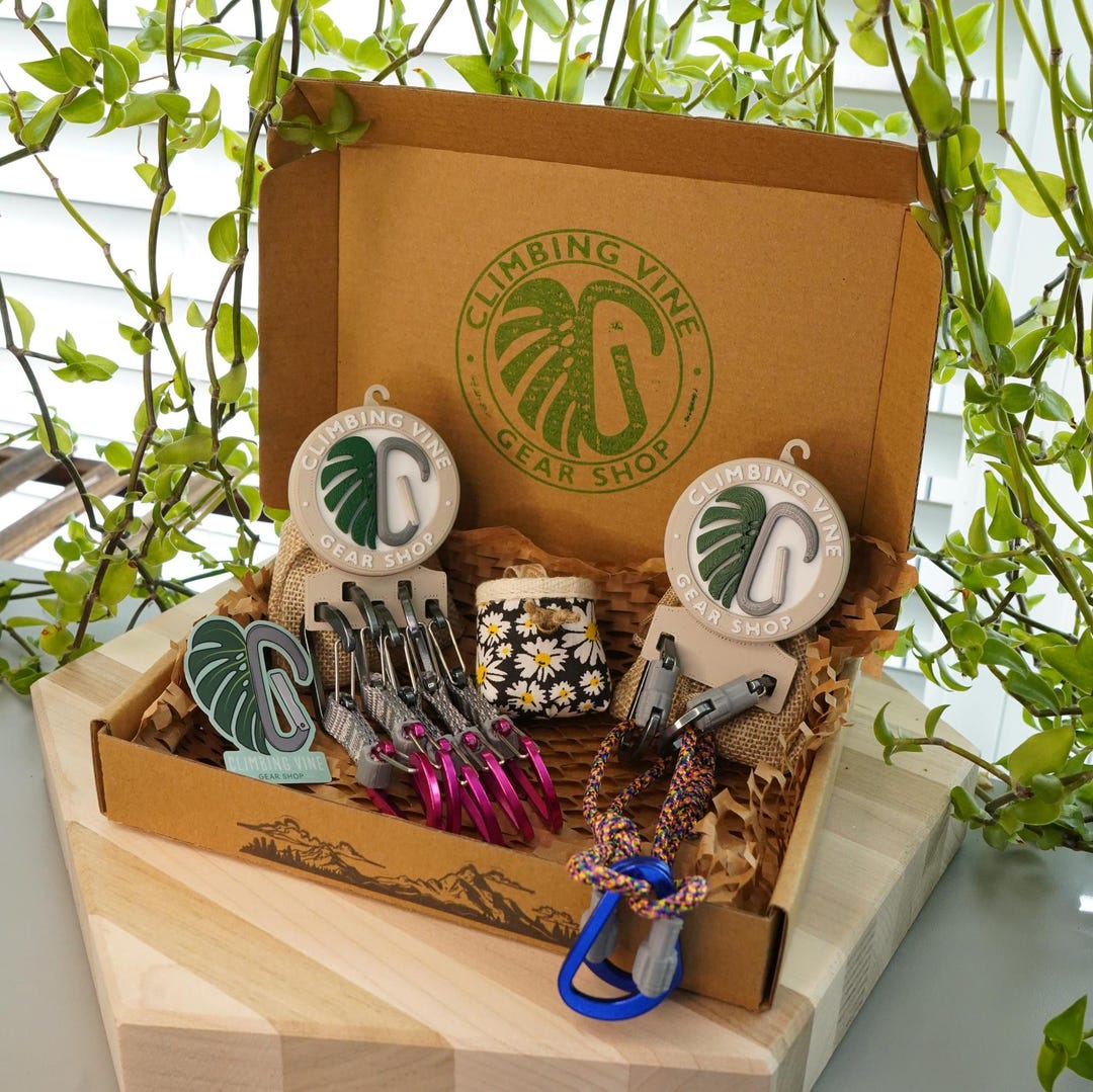 Mini Sport Rock Climbing Gift Set for Climbing Vine Plants- Gray/pink ...