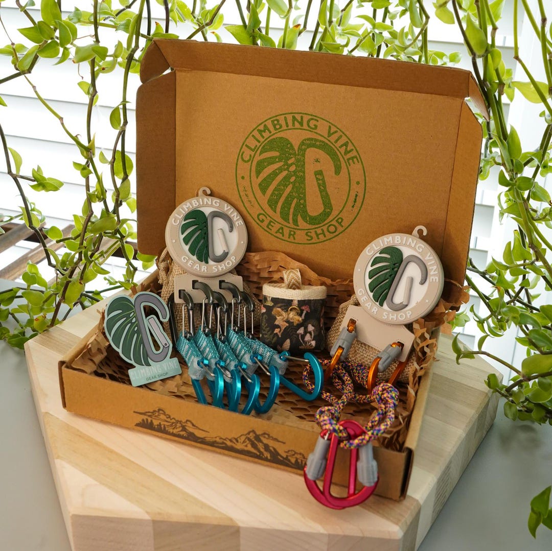 Mini Sport Rock Climbing Gift Set for Climbing Vine Plants- Light Blue ...