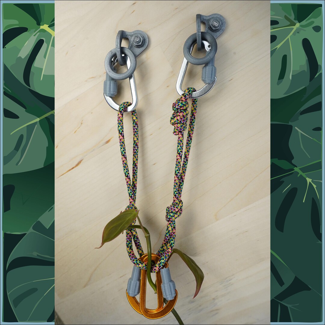 Gold & Silver - Mini Rock Climbing Anchor Set for Climbing Vines - Etsy