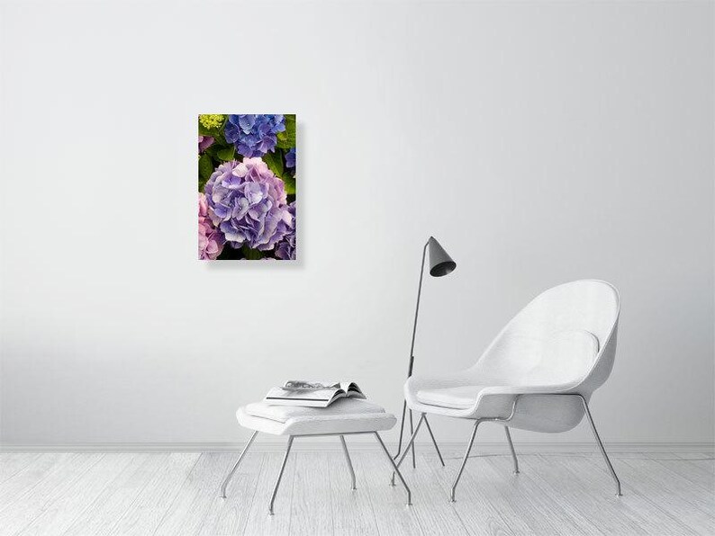 Nantucket Hydrangea Photograph - Print Only or Framed, Wall Art, Wall ...