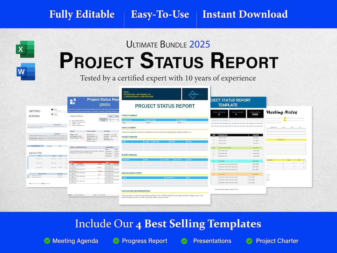 Project Status Report Template | Work Activity Report | Project Summary ...