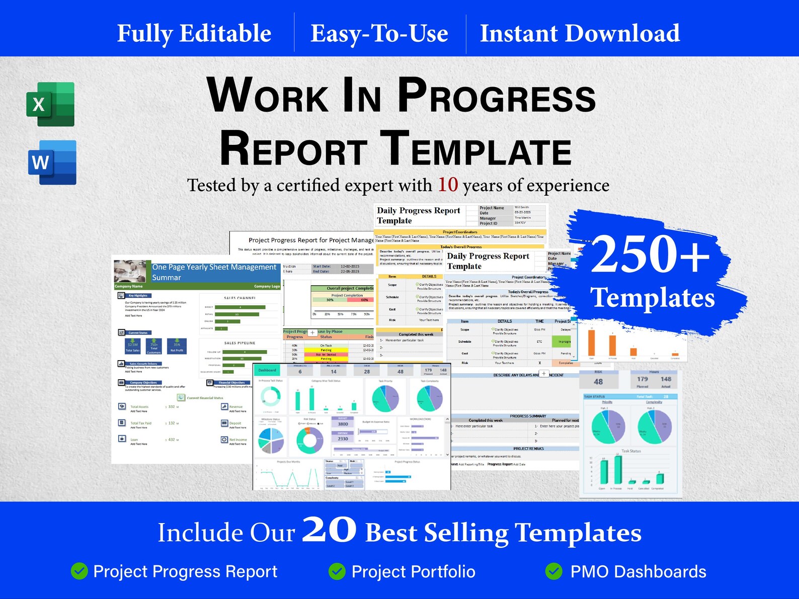 Daily Work in Progress Template | Work Report Template | Task Report ...