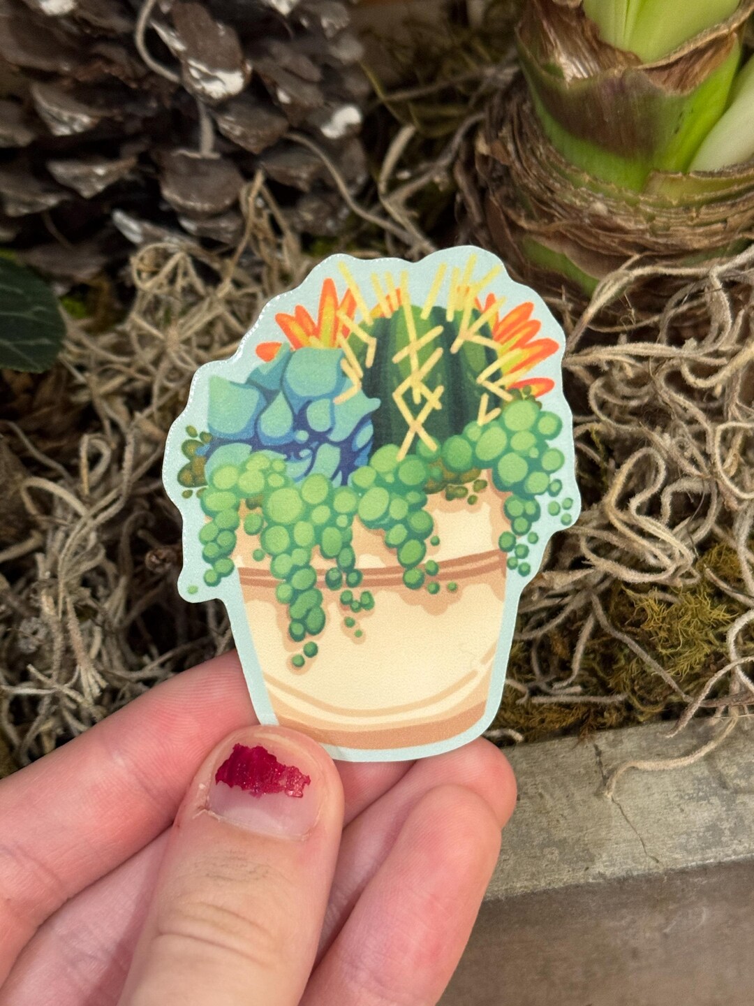 Succulents Waterproof Vinyl Sticker, Plant Sticker, Succulent Art, Hand ...