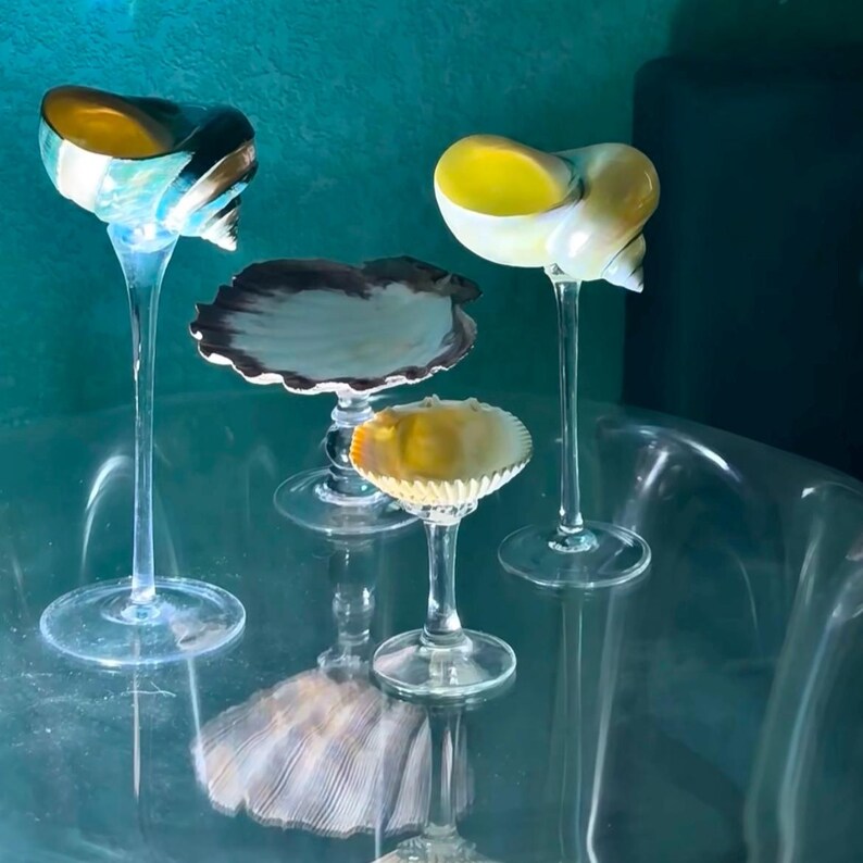 Shell Conch Cup, Handmade Cuisine Dessert Seashell Goblet, Customized ...