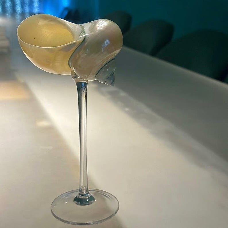 Shell Conch Cup, Handmade Cuisine Dessert Seashell Goblet, Customized ...