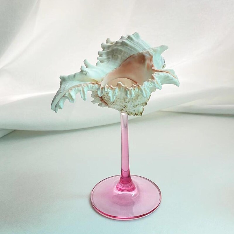 Conch Shell Art - Etsy