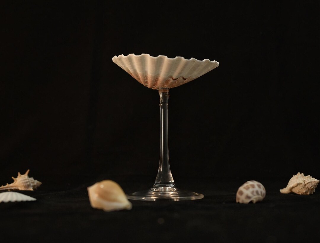 Customized Handmade Seashell Martini Glasses, Seashell Cup Bracket ...