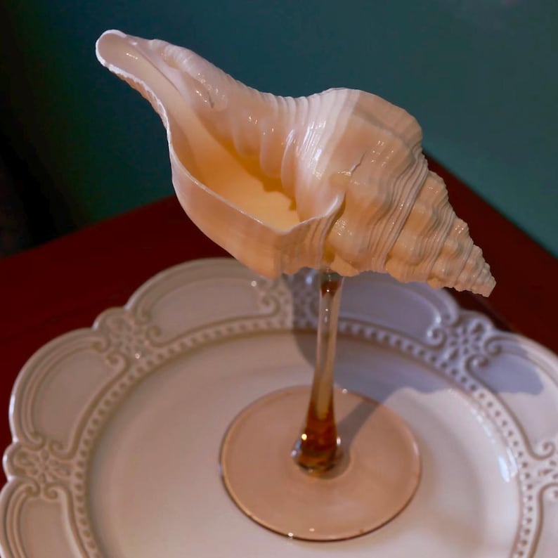 Customized Goblet, Handmade Conch Cup, Shell Cup, Exquisite Charms ...