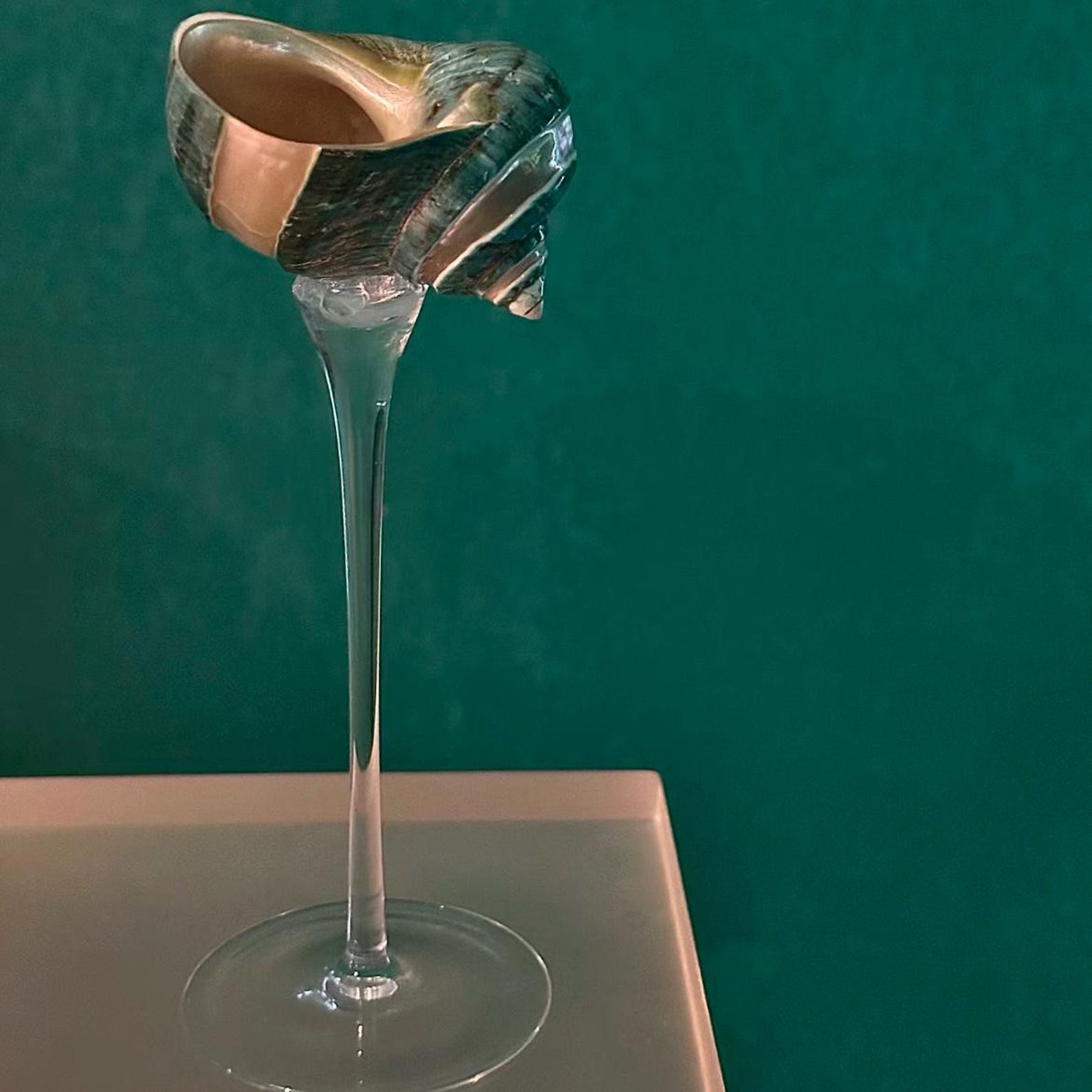 Shell Conch Cup, Handmade Cuisine Dessert Seashell Goblet, Customized ...