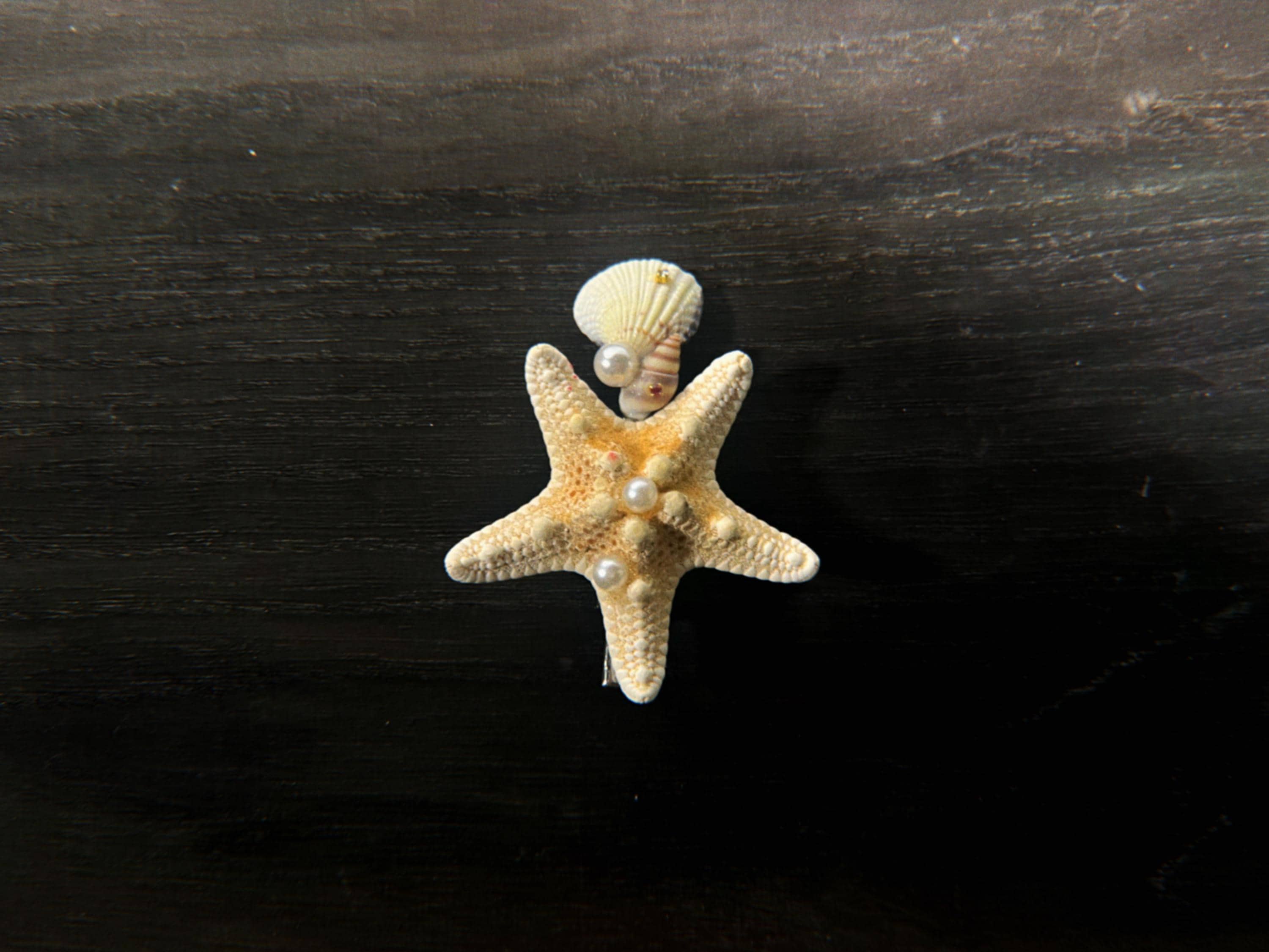 Hair Clip, Seashell Hair Clip, Mermaid Hair, Wedding Hair, Beach Vibes ...