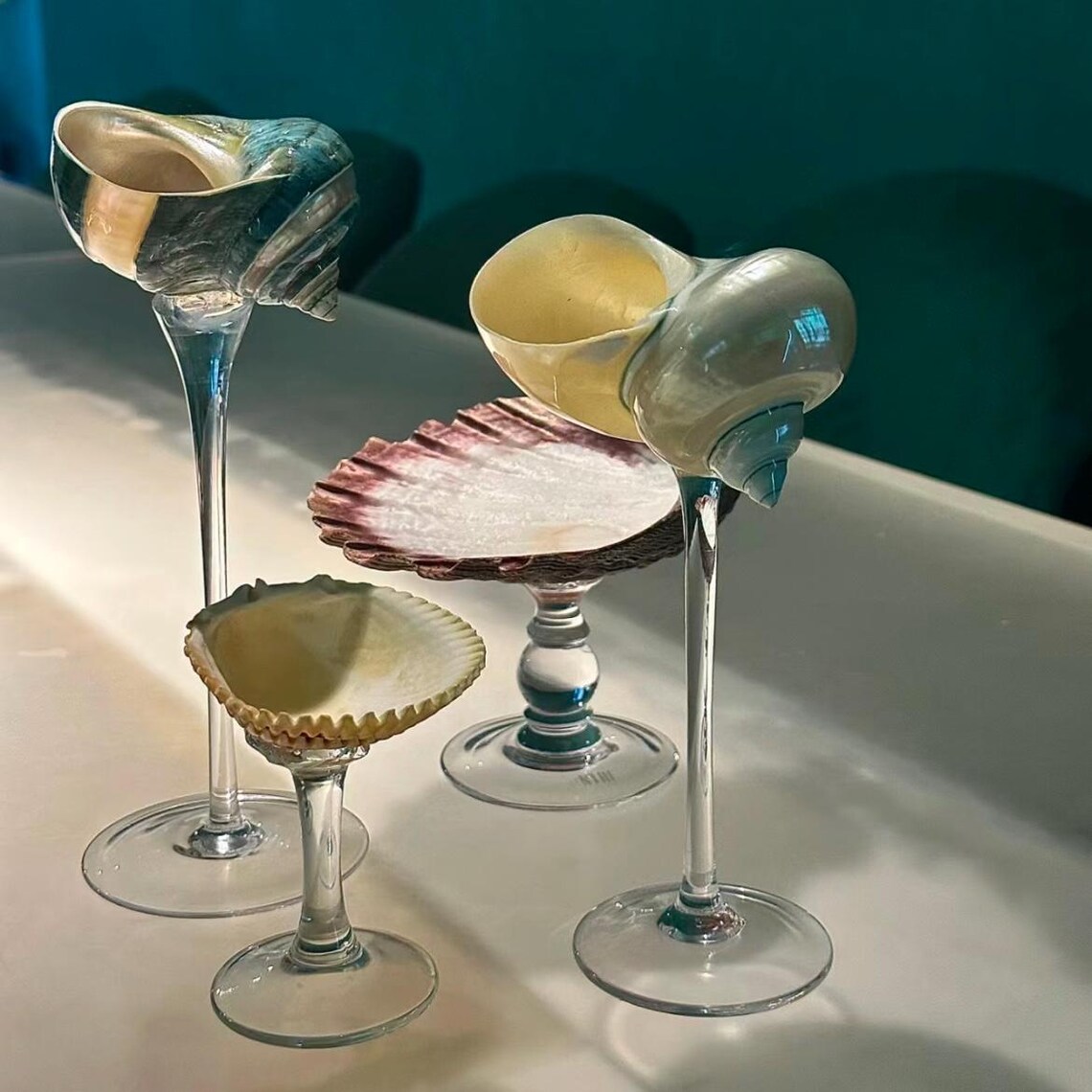 Shell Conch Cup, Handmade Cuisine Dessert Seashell Goblet, Customized ...