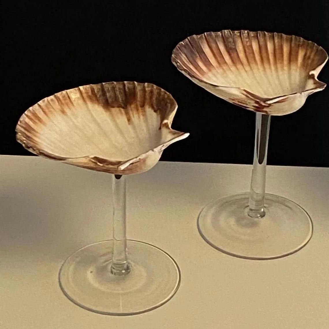 1 Piece Shell Cup, Unique Conch Glass Cups, Shell Cups, Martini Glasses ...