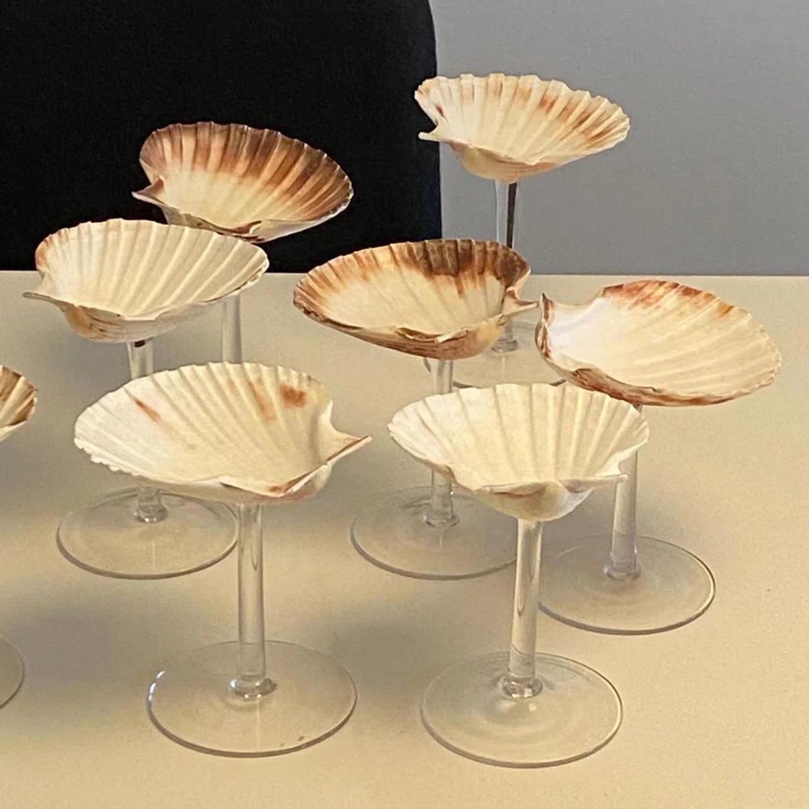 1 Piece Shell Cup, Unique Conch Glass Cups, Shell Cups, Martini Glasses ...