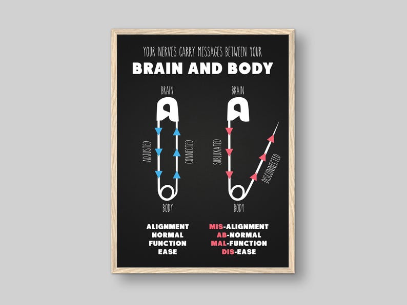 Safety Pin Cycle | Chiropractic Poster - Etsy