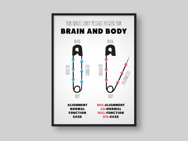 Safety Pin Cycle | Chiropractic Poster - Etsy