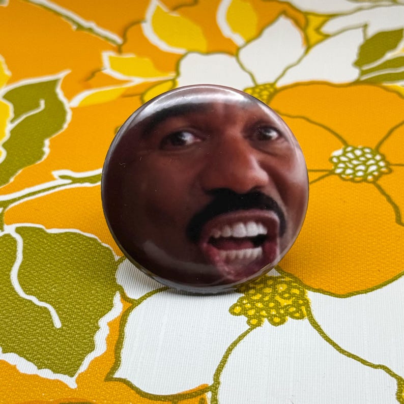 Steve Harvey Meme Button: Funny Reaction Face Pin - Family Feud - Etsy ...