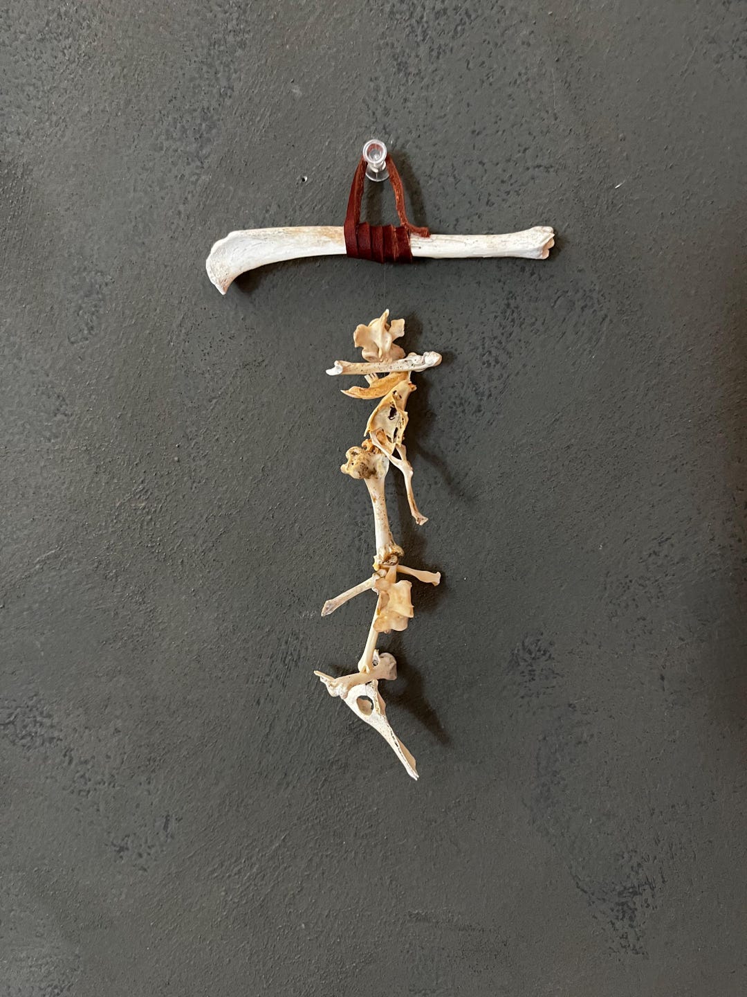 Small Animal Bone Chime - Etsy