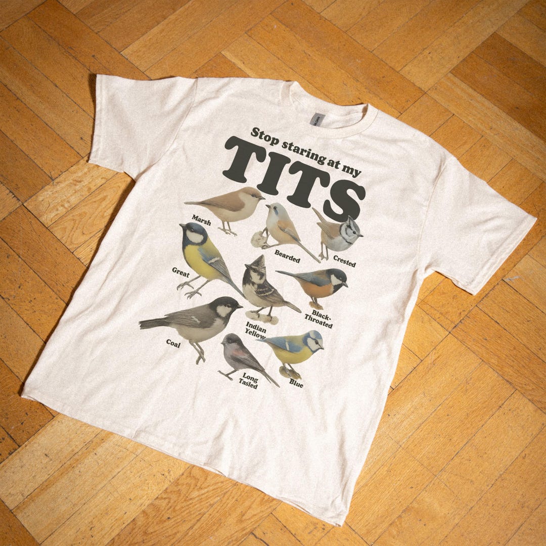 Stop Staring at My Tits Shirt, Meme Bird Shirt, Vintage Style Unisex T ...