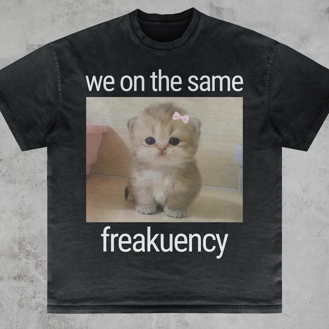 We on the Same Freakuency Cat Meme Shirt, Goofy Ahh Brainrot Weird ...