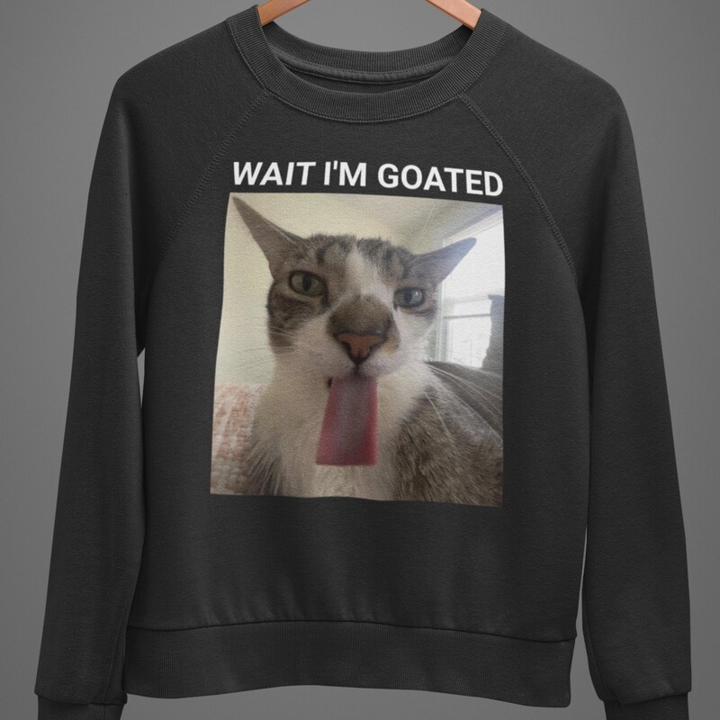 Meme Sweater - Etsy