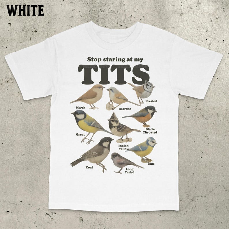 Stop Staring at My Tits Shirt, Meme Bird Shirt, Vintage Style Unisex T ...
