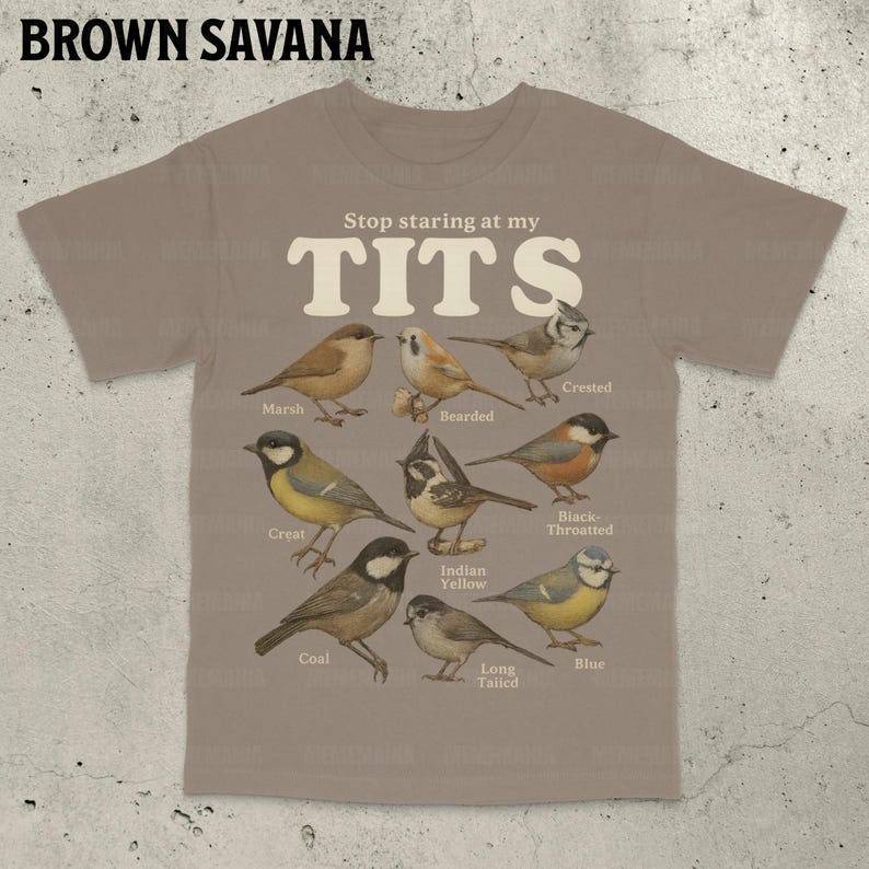 Stop Staring at My Tits Shirt, Meme Bird Shirt, Vintage Style Unisex T ...