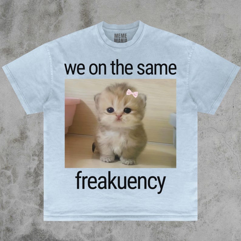 We on the Same Freakuency Cat Meme Shirt, Goofy Ahh Brainrot Weird ...