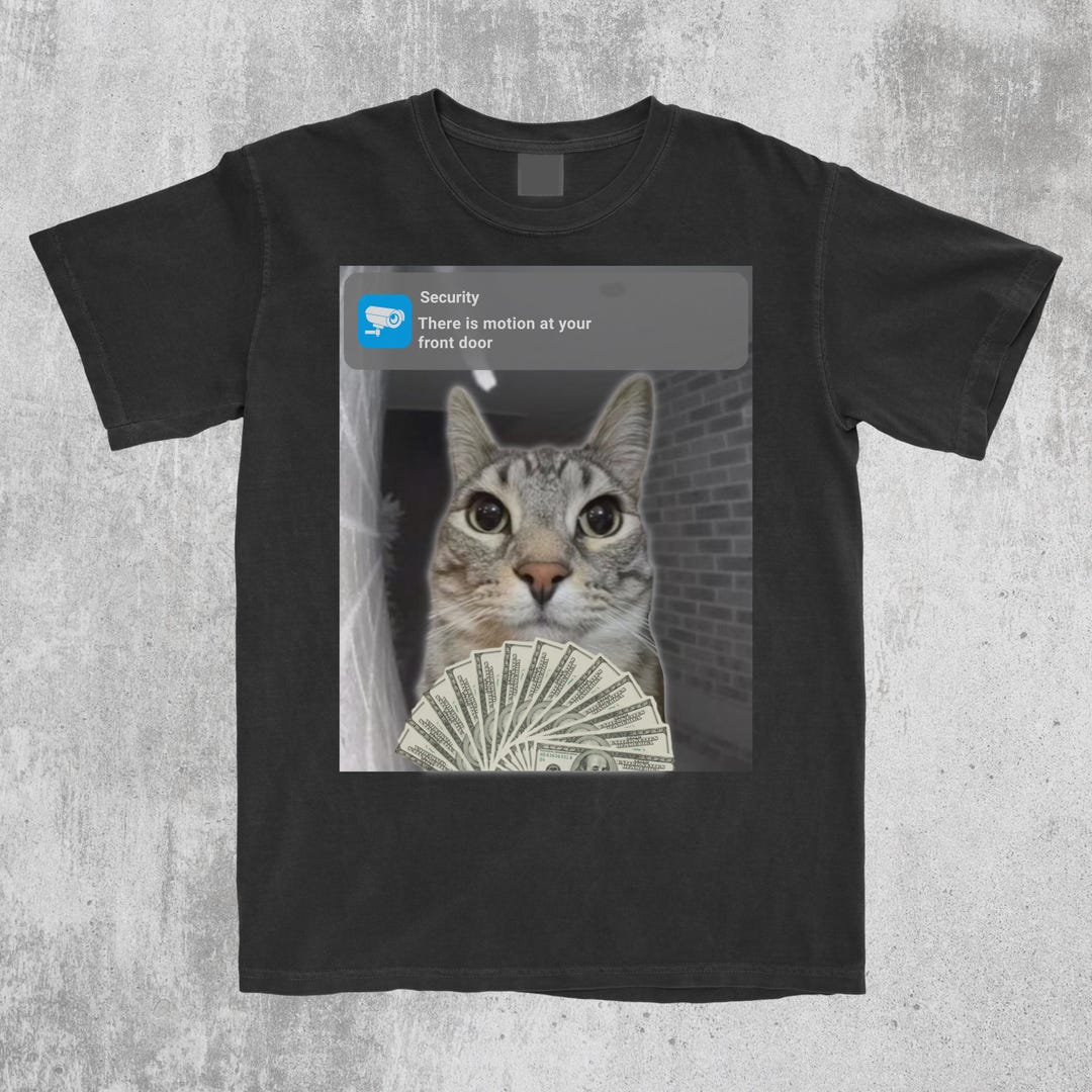 Ring Cat With Motion Meme Shirt, Cursed Cat, Funny Meme Shirt, Ironic ...