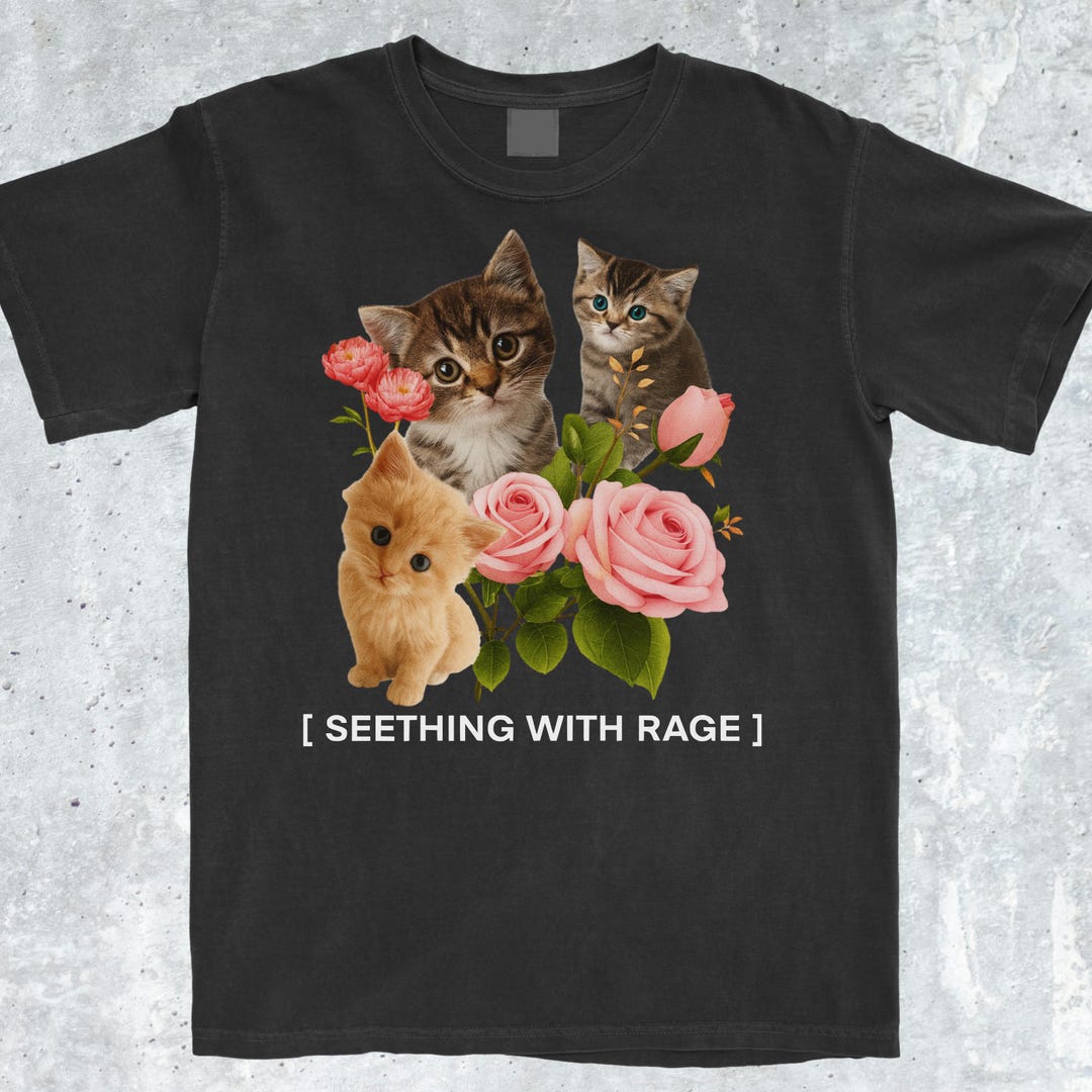 Funny Seething With Rage Cat Meme Shirt, Funny Meme Shirt, Popular Meme ...