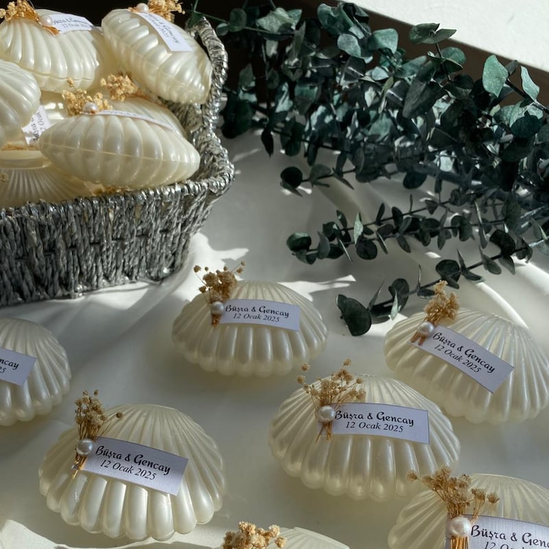 Seashell Favors - Etsy